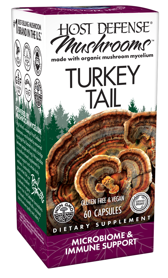 Turkey Tail 60 Capsules – Bluebird Pharmacy